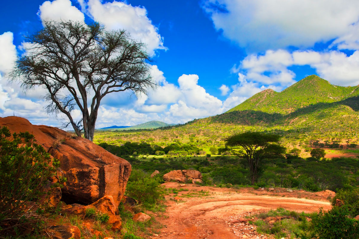 Visiter le Kenya, que faire ? – Hotel Sandrina